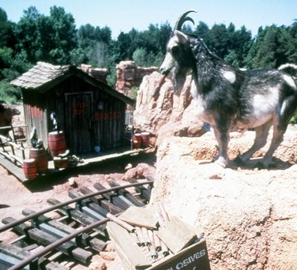 Baby Goats Make Their Debut at Disneyland Park | The Main Street Mouse