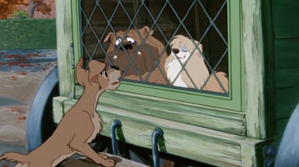 Lady’s Man: The Story of Tramp and Why We Love Him | The Main Street Mouse