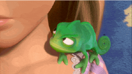 Pascal GIFs for Any Situation | The Main Street Mouse