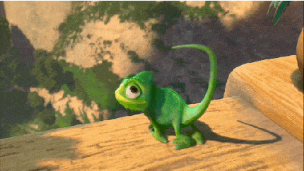 Pascal GIFs for Any Situation | The Main Street Mouse