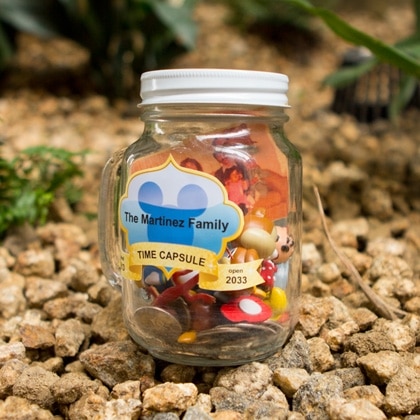 Make Your Own Disney Time Capsule | The Main Street Mouse