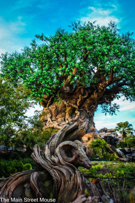The Tree of Life Story ~ Tuesdays With Corey | The Main Street Mouse