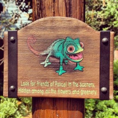 Hidden Pascals At The Magic Kingdom | The Main Street Mouse