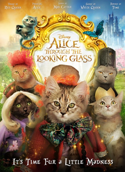 From Disney! Adorable Kitties Dress Up as Alice Characters…. And are up ...