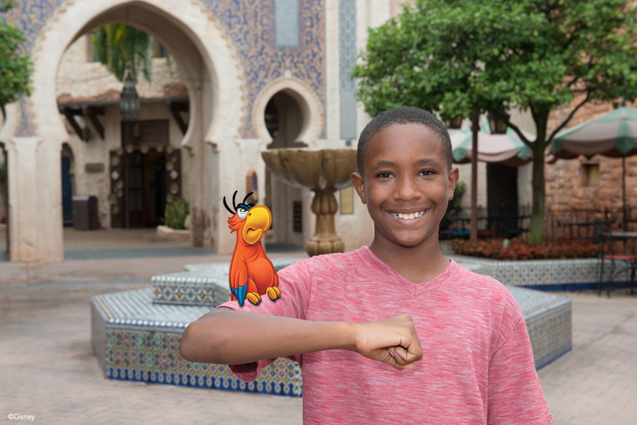 A New Way to Find Magic Shots at Walt Disney World Resort | The Main ...