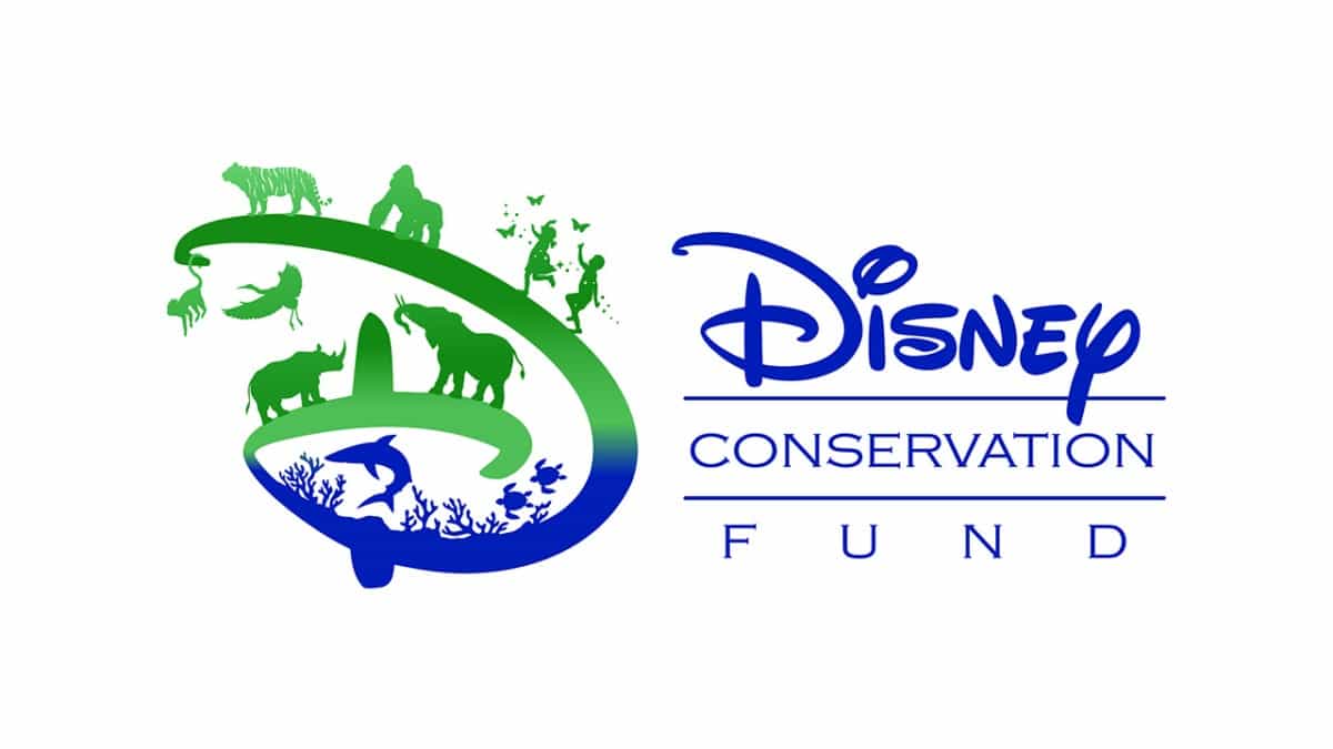 Disney Expands Environmental Commitment By Reducing Plastic Waste | The ...