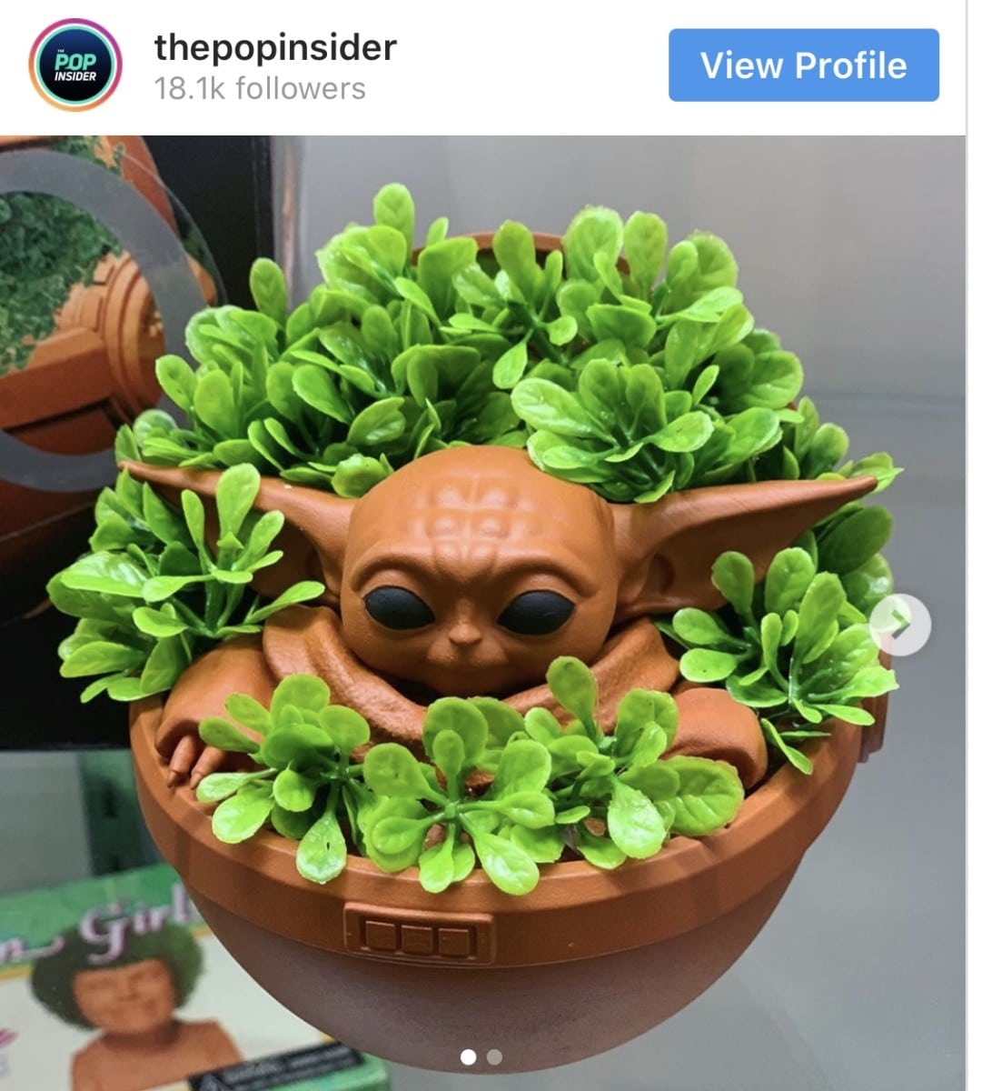 Baby Yoda Chia Pets! | The Main Street Mouse