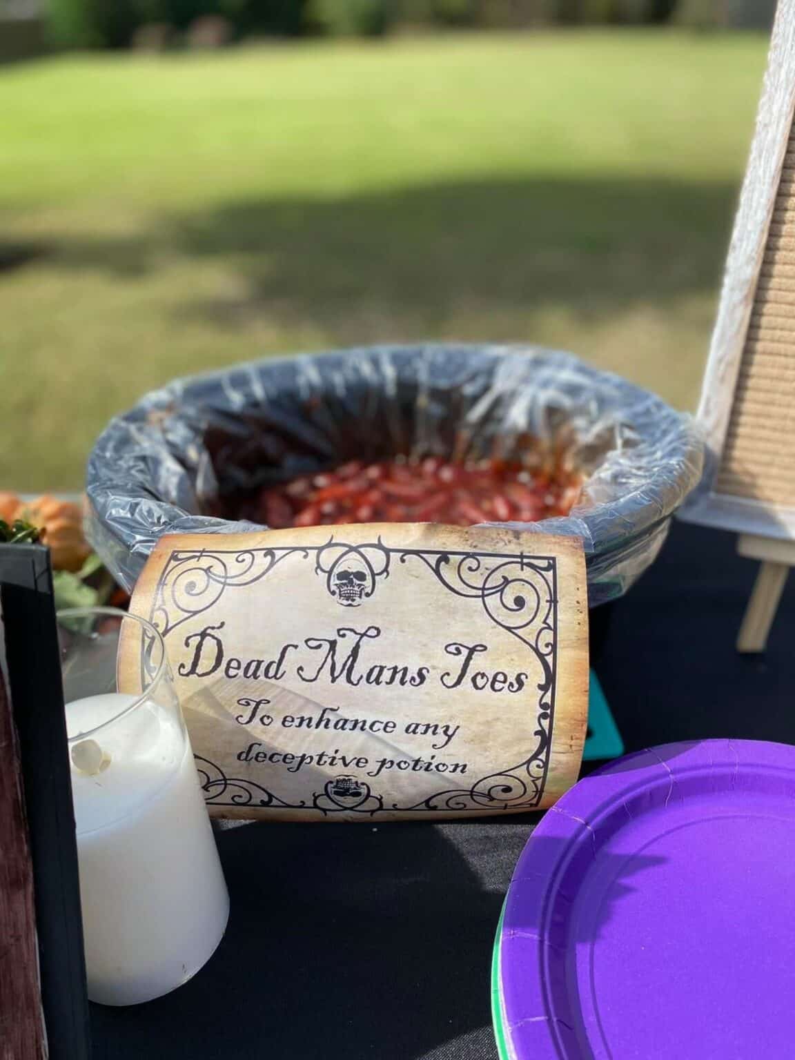 A Spooktacular Hocus Pocus Gender Reveal Party! | The Main Street Mouse