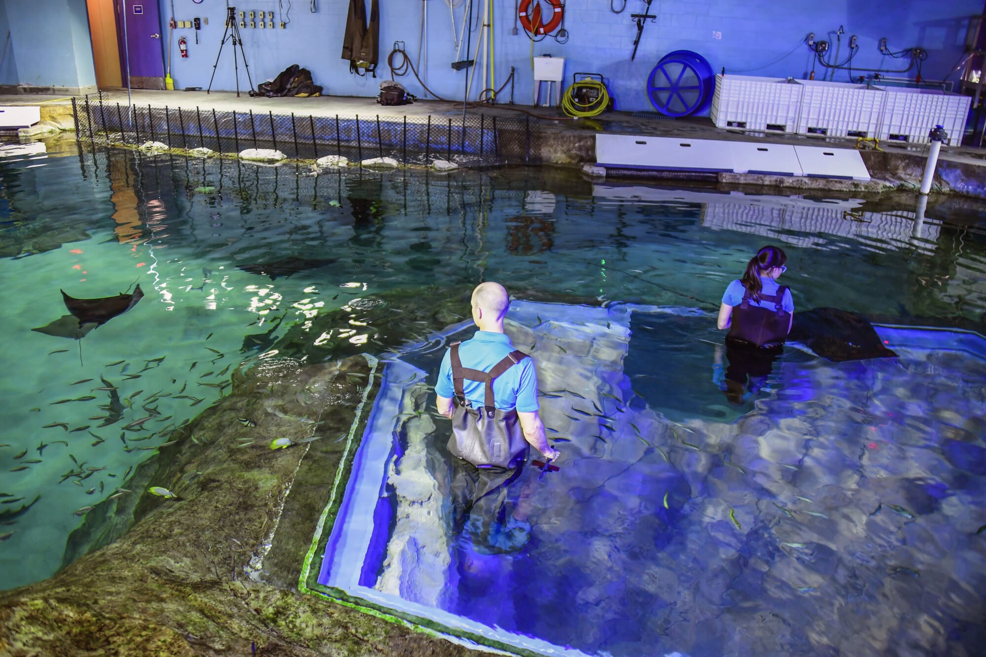 SeaWorld Orlando’s Inside Look Event is Back | The Main Street Mouse