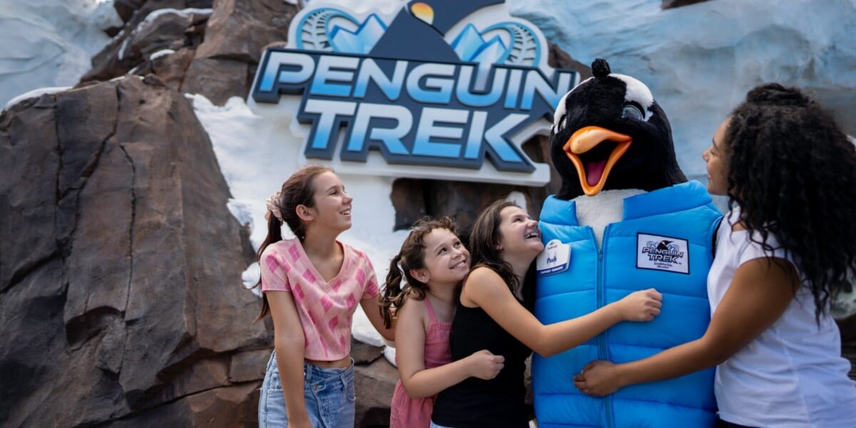 SeaWorld Orlando Just for Kids Weekend Jan 25th & 26th | The Main ...
