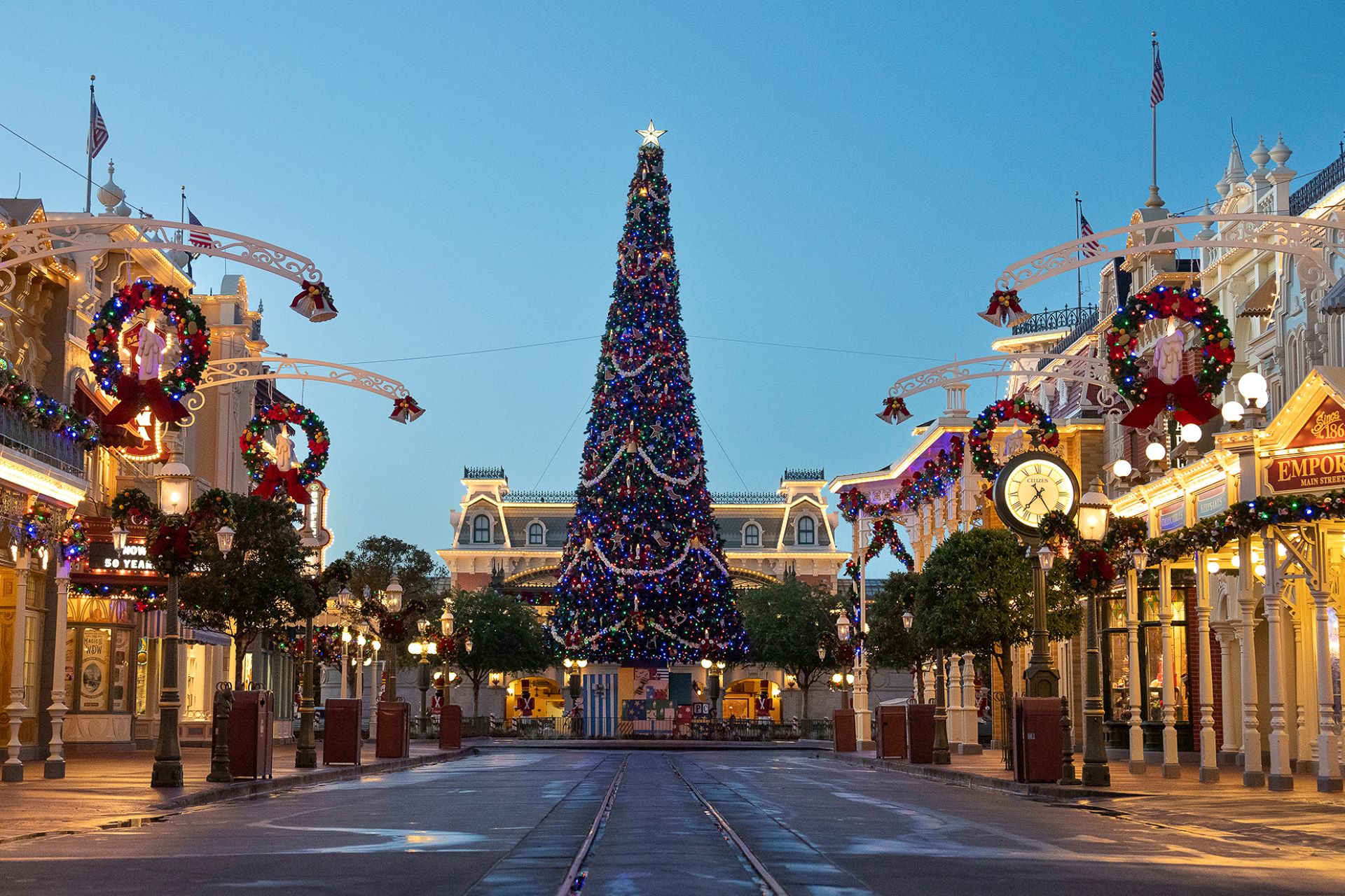 A Merry Tour of Walt Disney World’s Most Iconic Christmas Trees | The ...